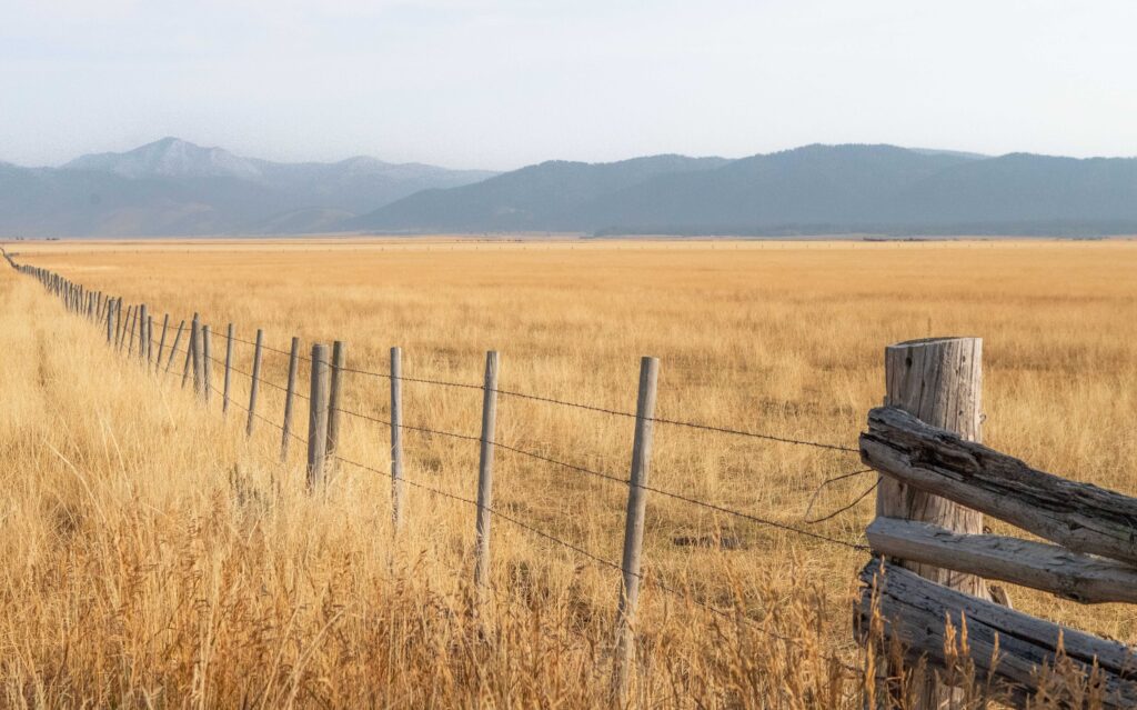 What is “Rural”? – Rural Life Matters